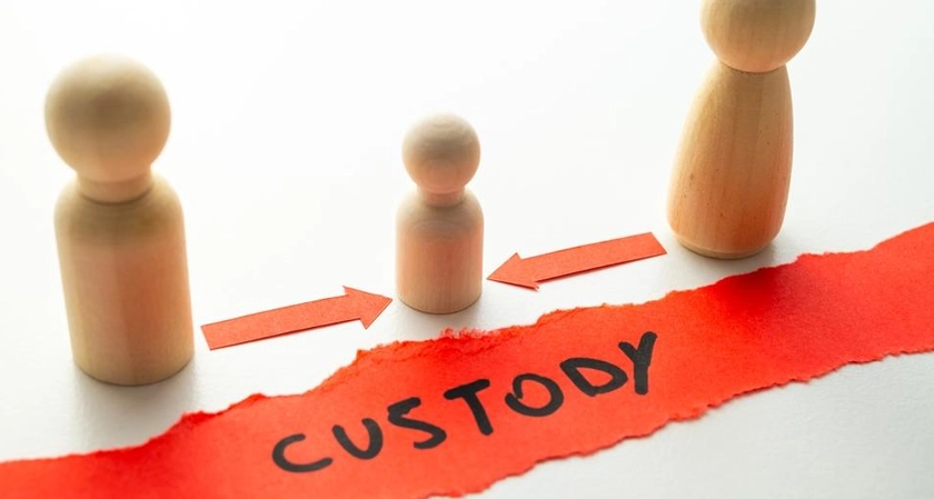 The Overlooked Role of Daily Household Structure in Child Custody Disputes