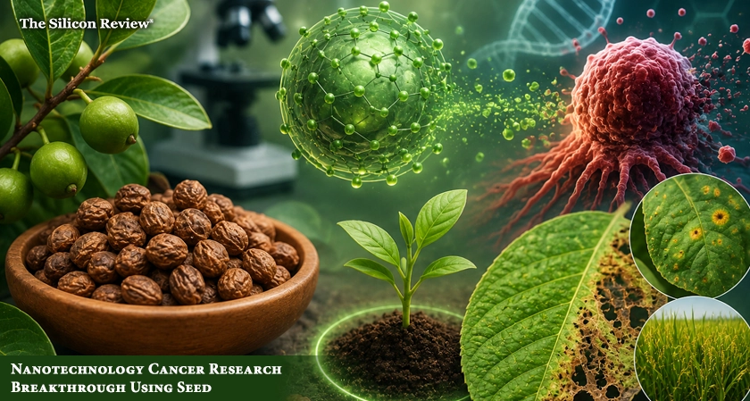 Nanotechnology Cancer Research Breakthrough Using Seed