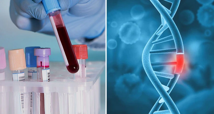 Lab-grown blood given to humans aimed at combatting rare disorders