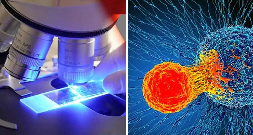 Tailored cancer medicine for people with untreatable cancer