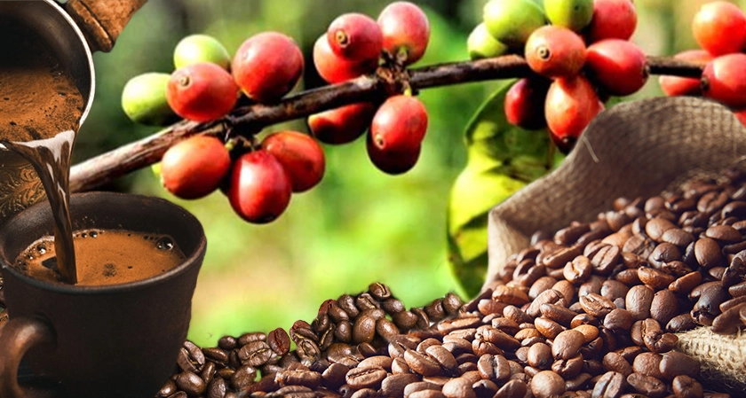 Coffee Culture: Tradition to Specialty Trends